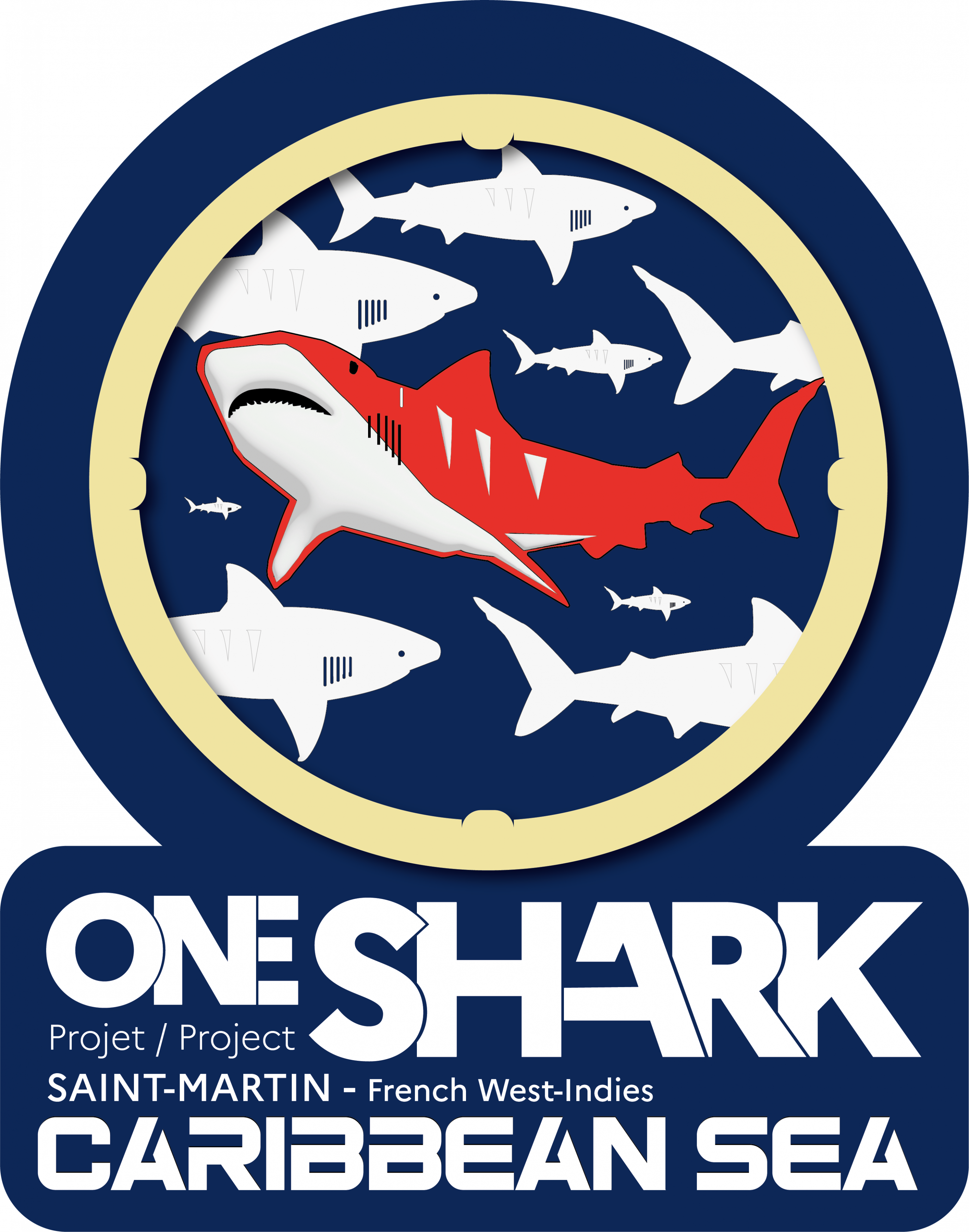 ONE-SHARK project - ONE SHARK